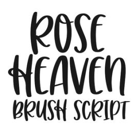 BFC Skylight Bold Brush Script Cursive Font