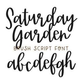 BFC Skylight Bold Brush Script Cursive Font