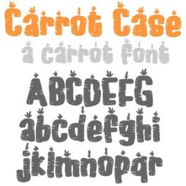 ZP Carrot Case