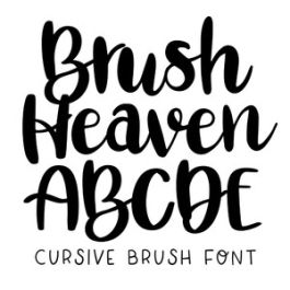 BFC Skylight Bold Brush Script Cursive Font