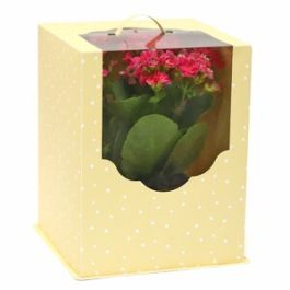 Large Clear Box with Handle - tall