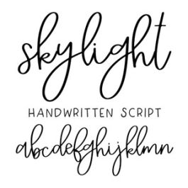 BFC Skylight Delicate Brush Script Cursive Font
