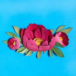 layered peonies cluster