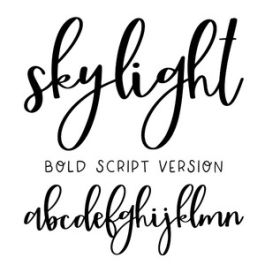 BFC Skylight Bold Brush Script Cursive Font
