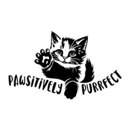 Pawsitively Purrfect with Cute Kitten