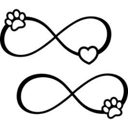 pet infinity symbol