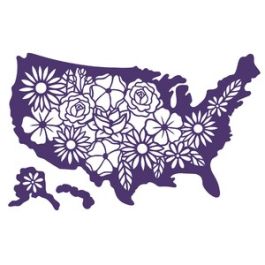 USA cute American flag