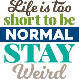 life is too short to be normal stay weird