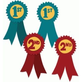 county fair award ribbons