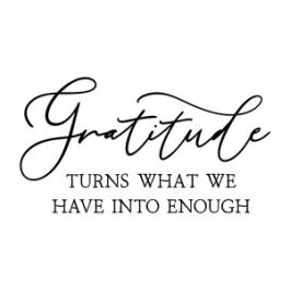 gratitude turns what we have into enough | gratitude quote|445699