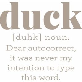 duck definition