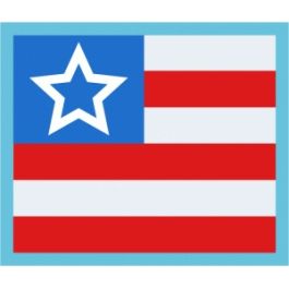 simple american flag