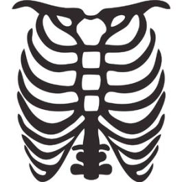 Simple Rib cage