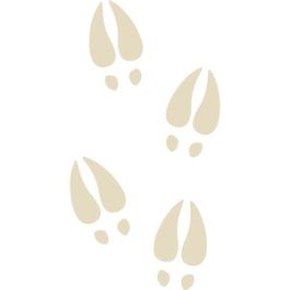 Reindeer Prints