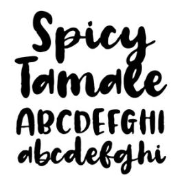 BFC Spicy Tamale Bold Distressed Brush Script Cursive Font