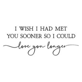 i wish i had met you sooner