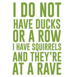I dont have ducks or a row i have squirrels and they are at a rave