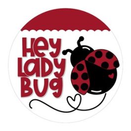 Hey Ladybug