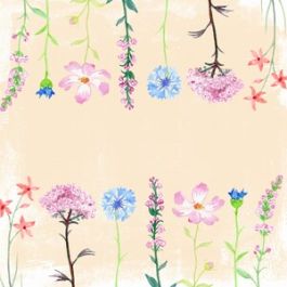 Cream Spring Flowers