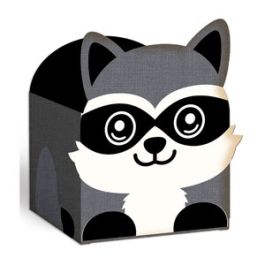 raccoon box