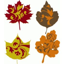 fall flourish leaves