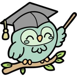 cute academic owl