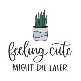 Feeling Cute Might Die Later