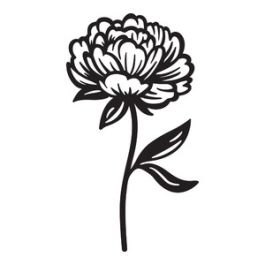 Peony - November birth month flower