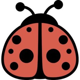 simple ladybug
