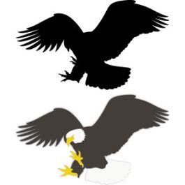 eagle silhouette