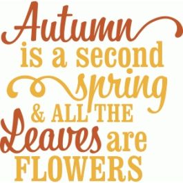 'autumn is a second spring' vinyl phrase