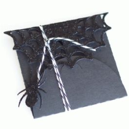 spider web envelope