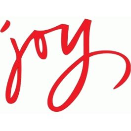 joy - calligraphy