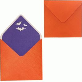 envelope with bats liner
