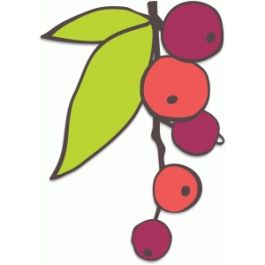 berry sprig