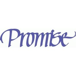 promise - calligraphy