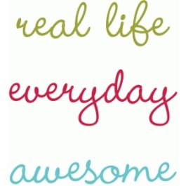 real life, everyday & awesome