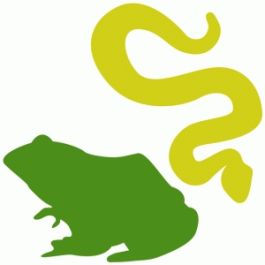frog and snake