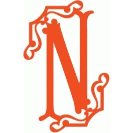 fancy letter n