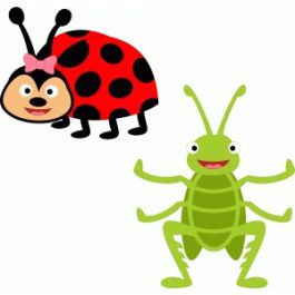 ladybug & grasshopper