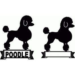 poodle sign