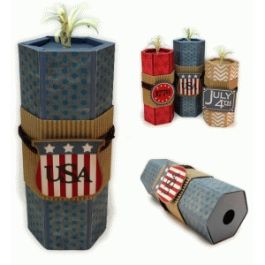 3d tall stick firecracker box