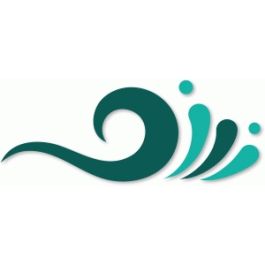 ocean wave flourish|63096
