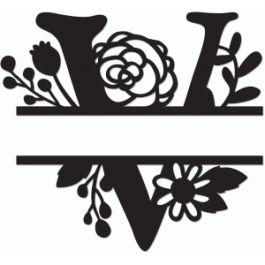 split monogram v
