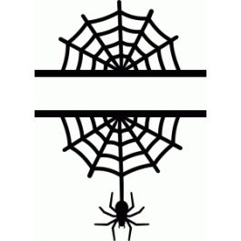 split spider web