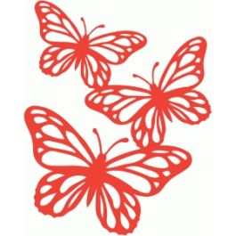 3 butterflies