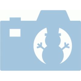 snowman camera