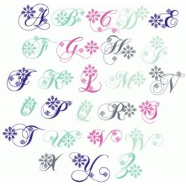 snowflake fancy monogram alphabet