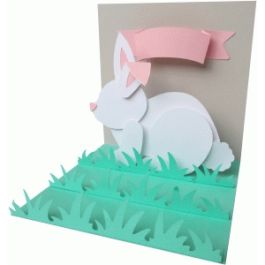 pop up rabbit or bunny card