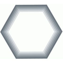 nested hexagon shapes / labels
